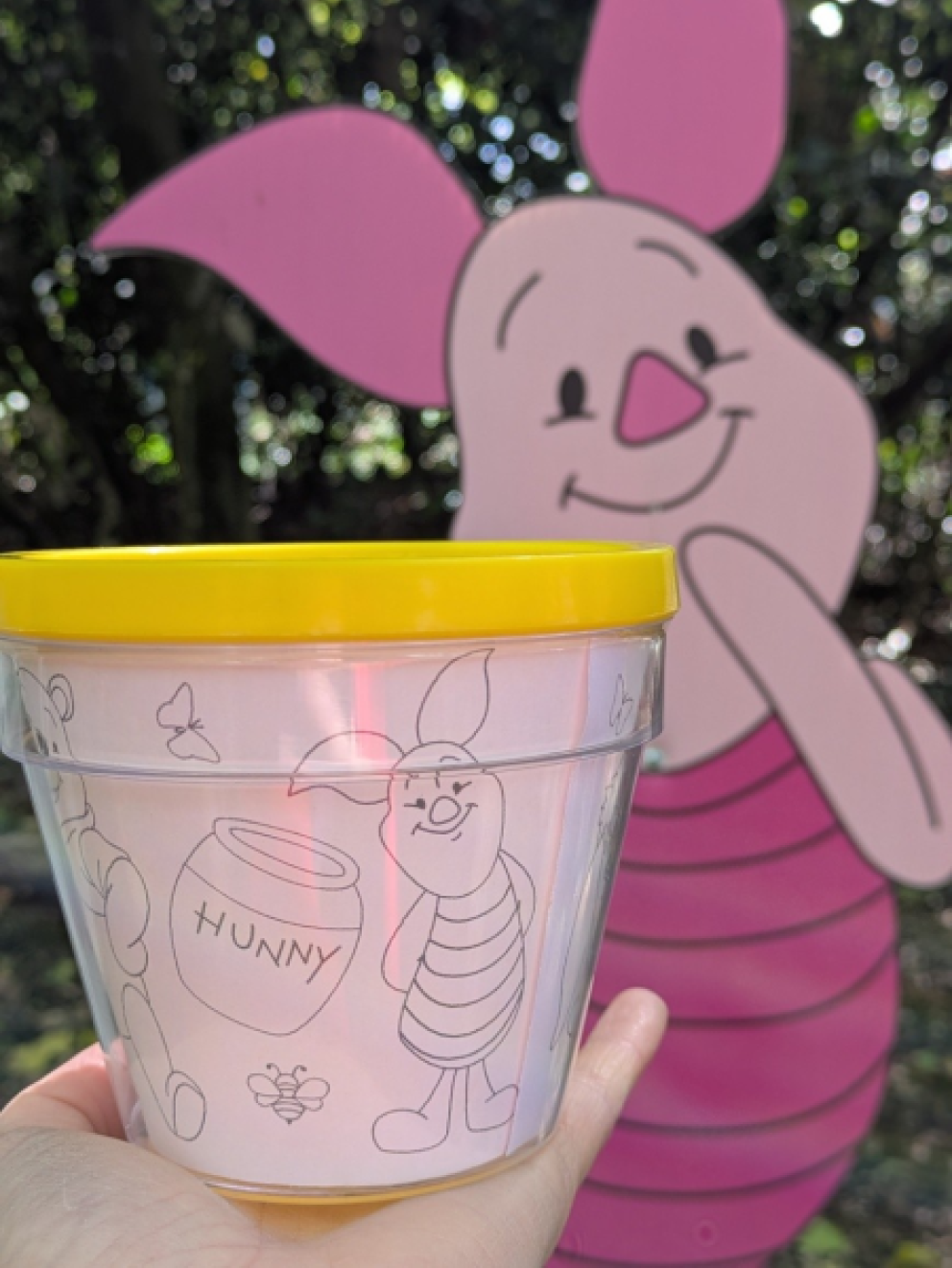 Plant Pot Colouring and Planting & 'Hundred Acre' Woods - Winnie-the ...
